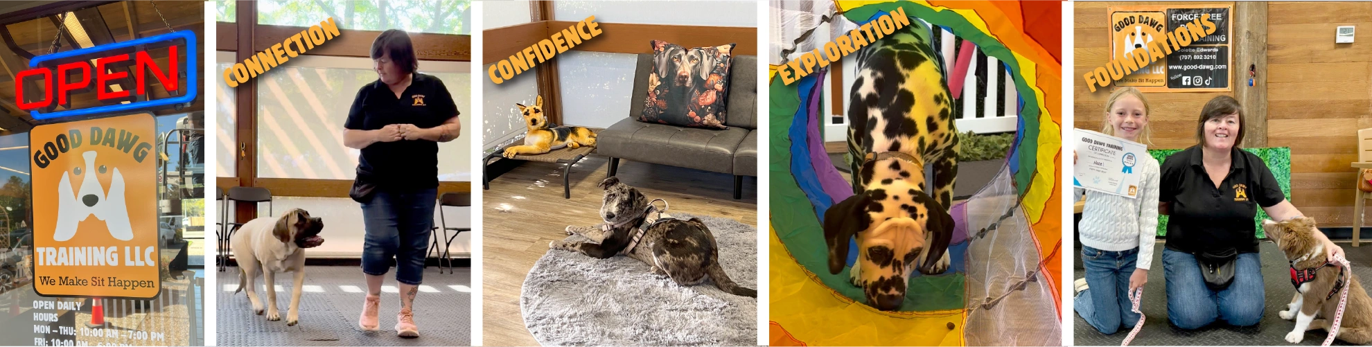 Good Dawg Training - Private Dog Training, Positive Reinforcement